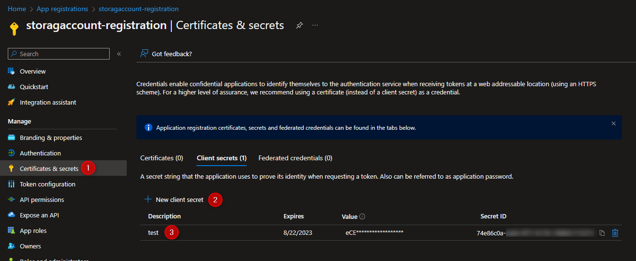 Authenticate Azure Function to Azure Storage Account using Managed Identity or application ...